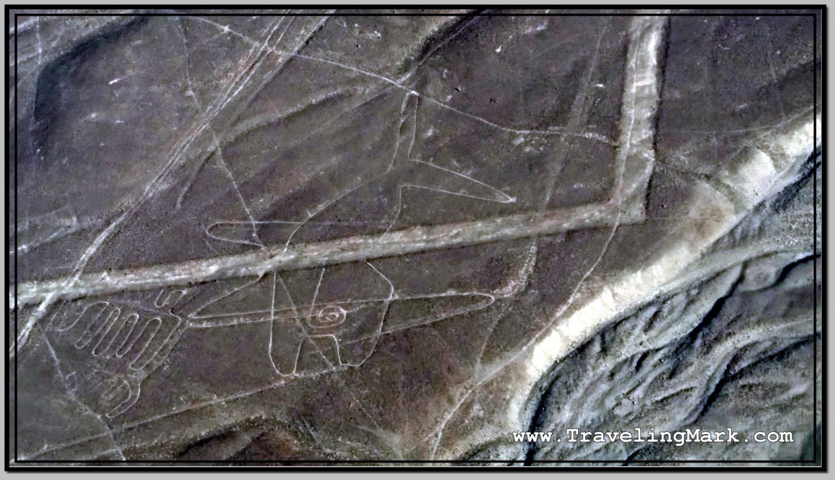 Photo: Nazca Lines Image of Whale (Ballena) – Traveling Mark